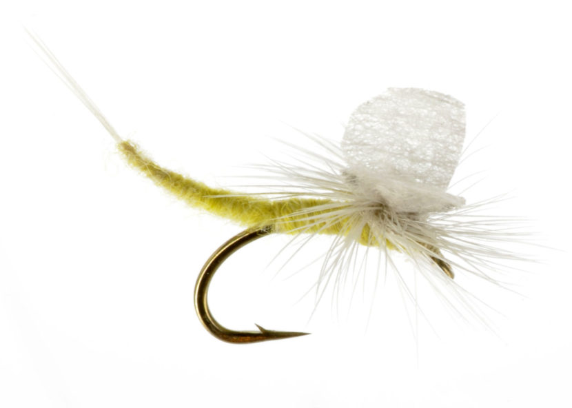 Parachute PMD Extended Body - Bighorn Flies