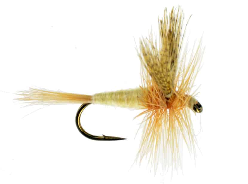 Light Cahill - Bighorn Flies