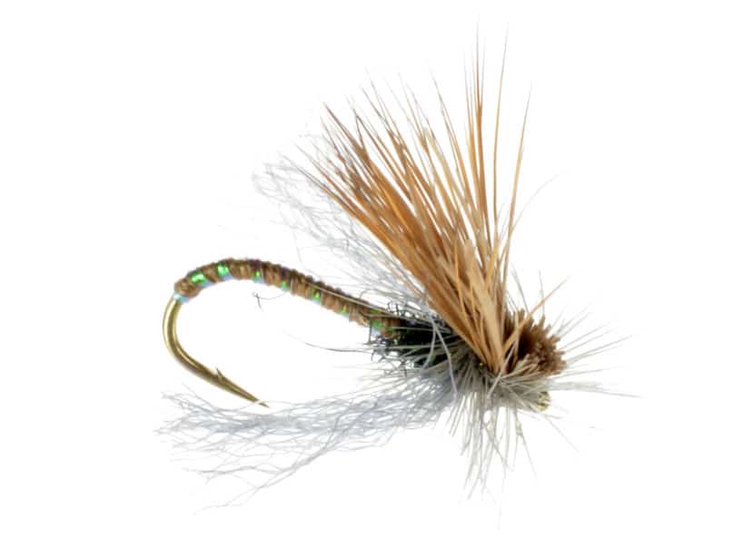 Missing Link Caddis - Bighorn Flies